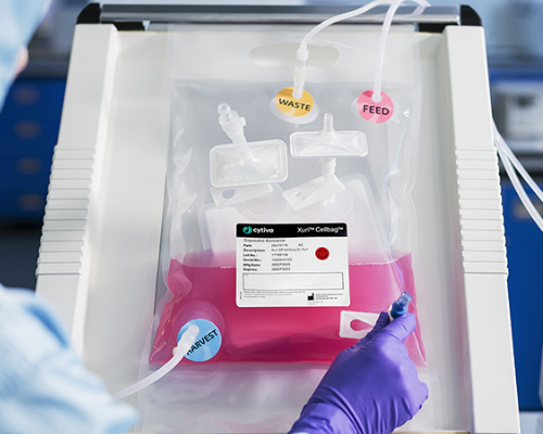 Xuri™ Cellbag™ | 싸이티바 코리아 공식 웹사이트