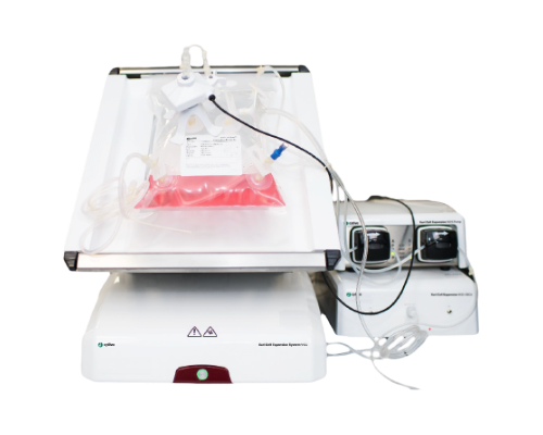 Xuri™ W25 System | 싸이티바 코리아 공식 웹사이트